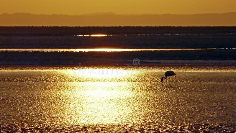 Sunset at the Salar De Atacama, Chile Stock Image - Image of volcano ...