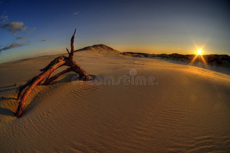 Sunset on sand dunes stock photo. Image of sunset, sand - 26266332