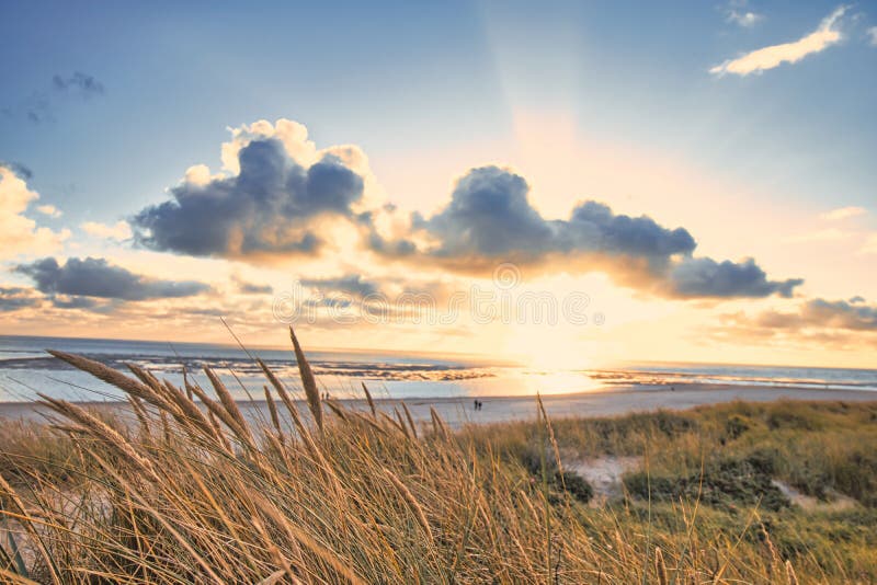Sunset in Sand Dunes at Blavand Beach in Denmark Stock Photo - Image of ...
