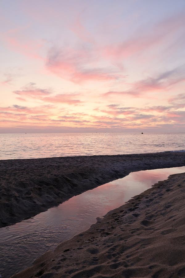 Sunset Stream in Forest. a Peaceful Stream Flows through a Dense Forest ...