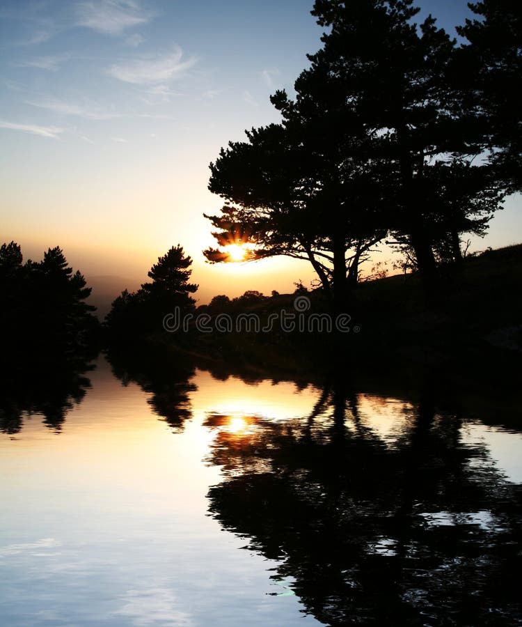Sunset scene stock image. Image of pine, landscapes, rural - 3769127