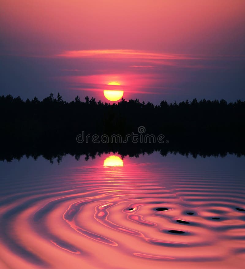 Sunset scene stock photo. Image of forest, flood, lake - 6122962