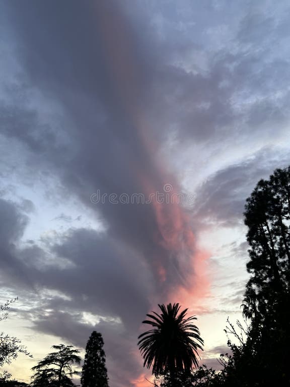 Sunset Scene with a Cloud Sweeping in Over Palm Trees Stock Photo ...