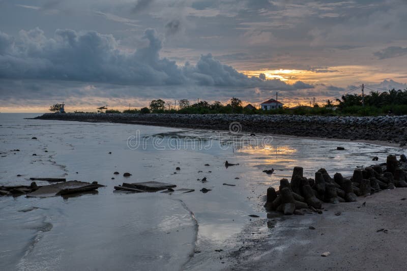 Sunset Scene at the Low-tide Swampy Beach Stock Photo - Image of ...