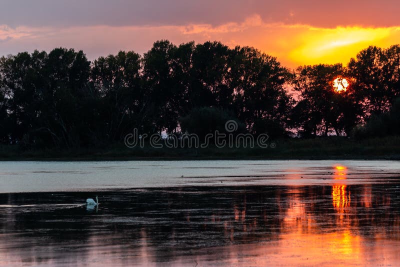 Sunset Scene Over Lake, with Sun Coming Down Behind Some Trees and ...