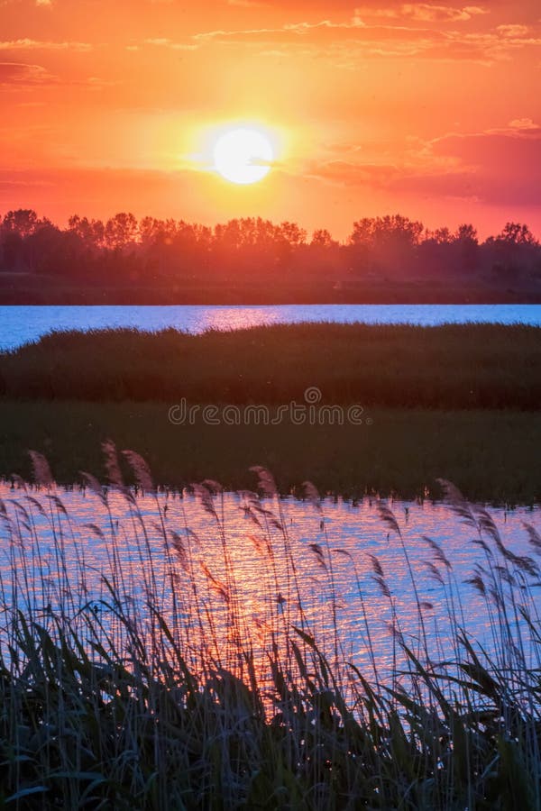 Sunset Scene Over Lake, Water Surface Sunset Stock Photo - Image of ...