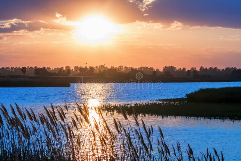 Sunset Scene Over Lake, Water Surface Sunset Stock Photo - Image of ...