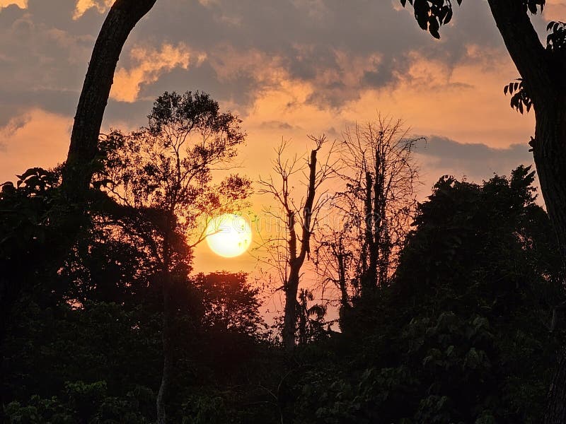 Sunset Scenery Village Sun between Tree Stock Photo - Image of village ...