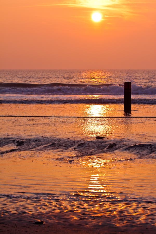 Shimmering sunset stock photo. Image of cherrygrove, pink - 48116444