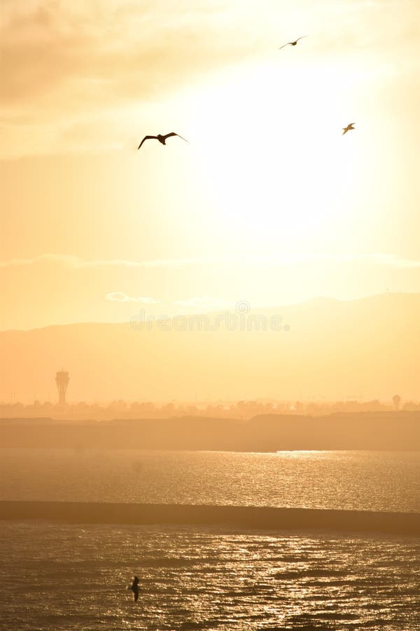 Sunset in Sea stock image. Image of reflex, atmosphere - 176791007