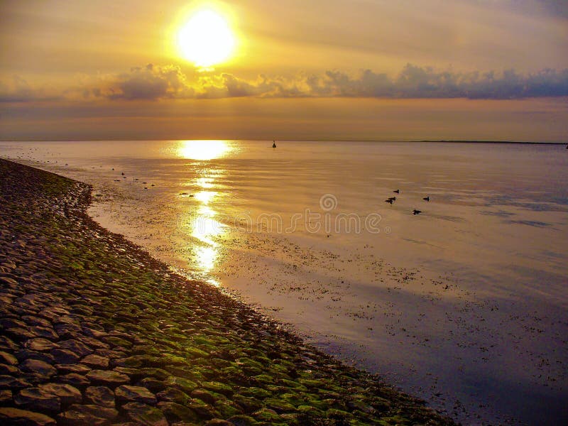Beach With Rocks At Sunset In Zeeland, The Netherlands Stock Image ...