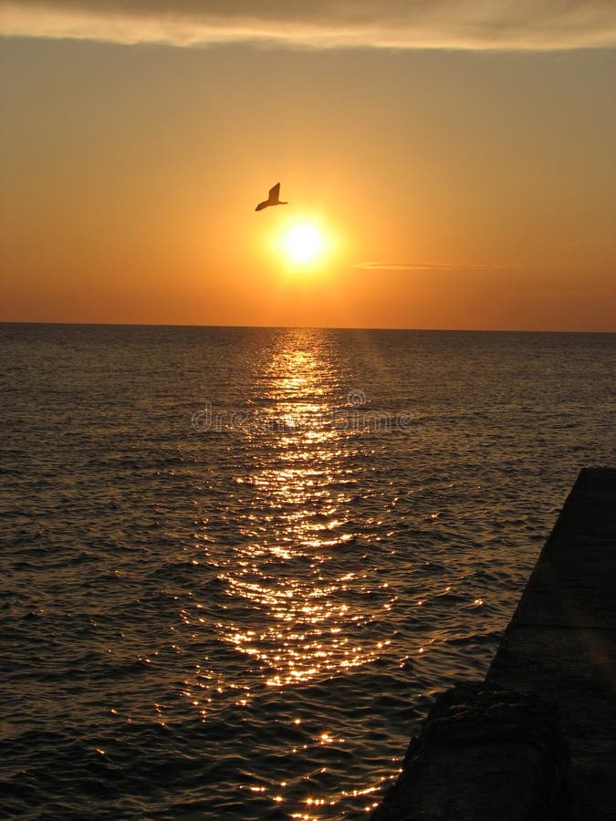 Flying home stock image. Image of aerospace, 30th, 21st - 84412927