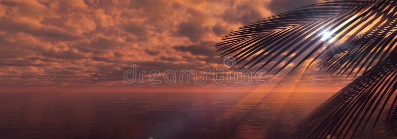 Sunset Sea Palm Landscape Illustration Stock Illustration ...