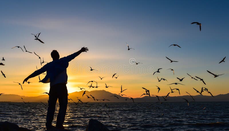Sunset Seagulls and People Silhouette Stock Image - Image of coastline ...