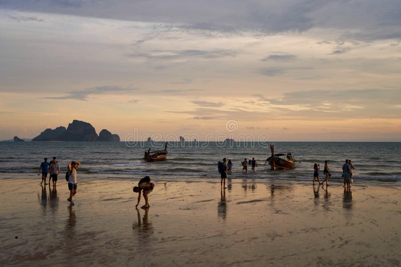 Sunset on the Seashore.People are Looking for Beautiful Shells on the ...