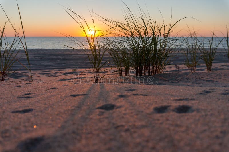 Sunset on the Seashore. the Sun is Setting Behind the Sea Horizon Stock ...