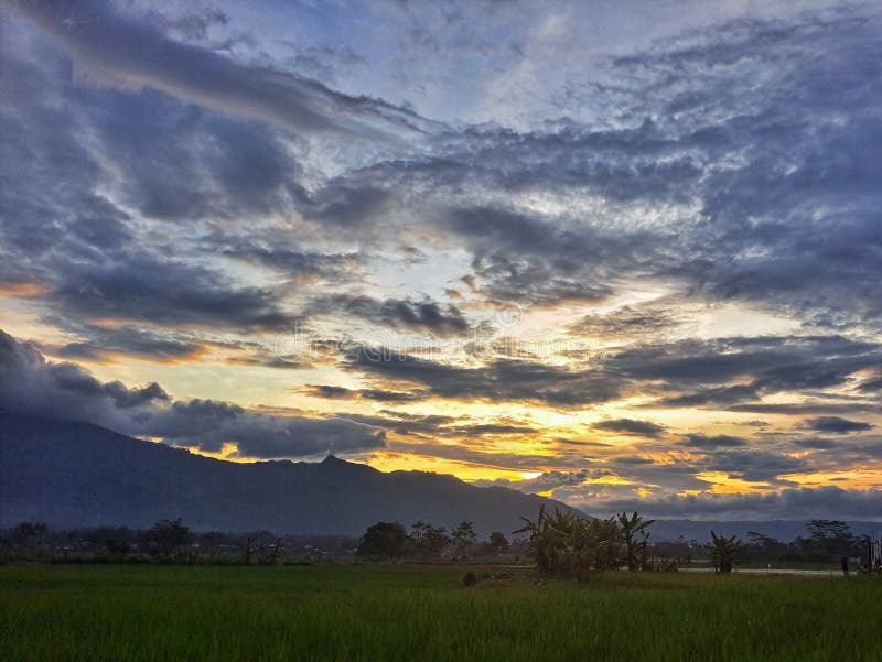 Sunset Seen in the Rice Field Area Stock Photo - Image of hill, clouds ...