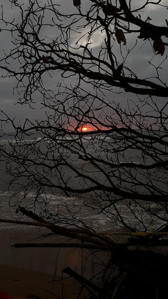 Sunset stock image. Image of view, fallen, setting, sunset - 70110559