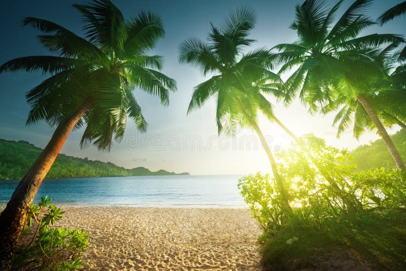 Sunset on Seychelles beach stock photo. Image of outdoor - 79128910