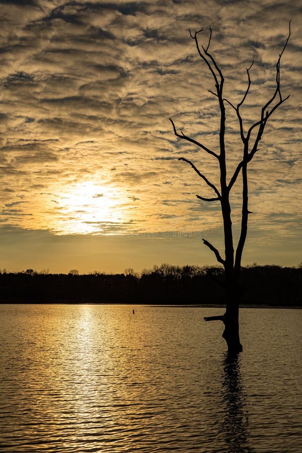 Sunset at Shabbona Lake stock photo. Image of clouds - 264642192