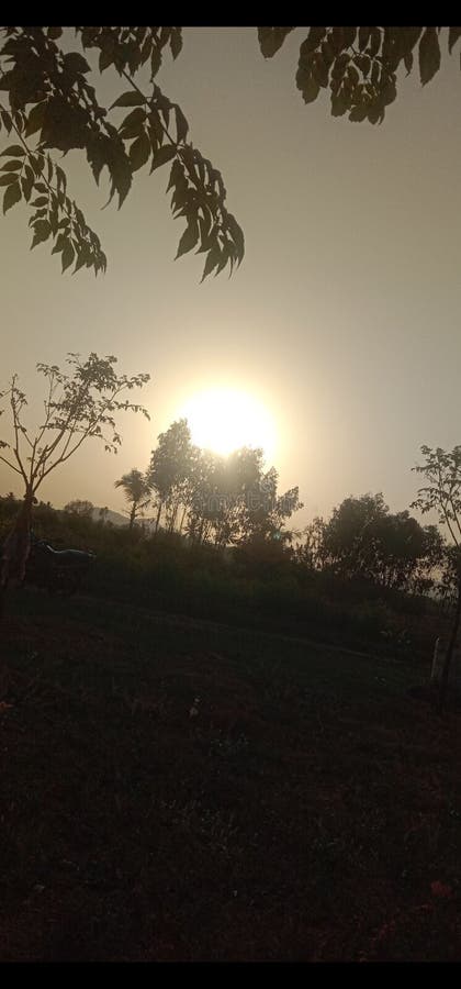 Sunset Shade Tree Leaves Beauty Nature Stock Image - Image of shade ...