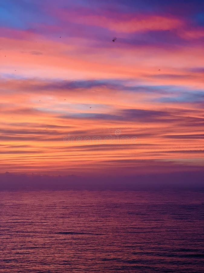 Sunset shades stock image. Image of shades, ocean, evening - 266978667