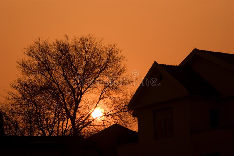 Sunset and shadow stock photo. Image of tree, paper, sunset - 12985218