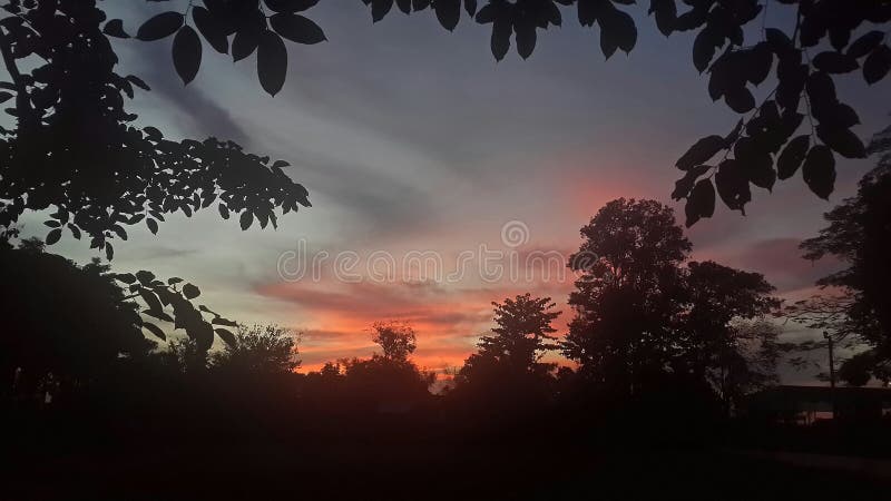 Sunset stock photo. Image of alone, shadow, sunset, tree - 47641212