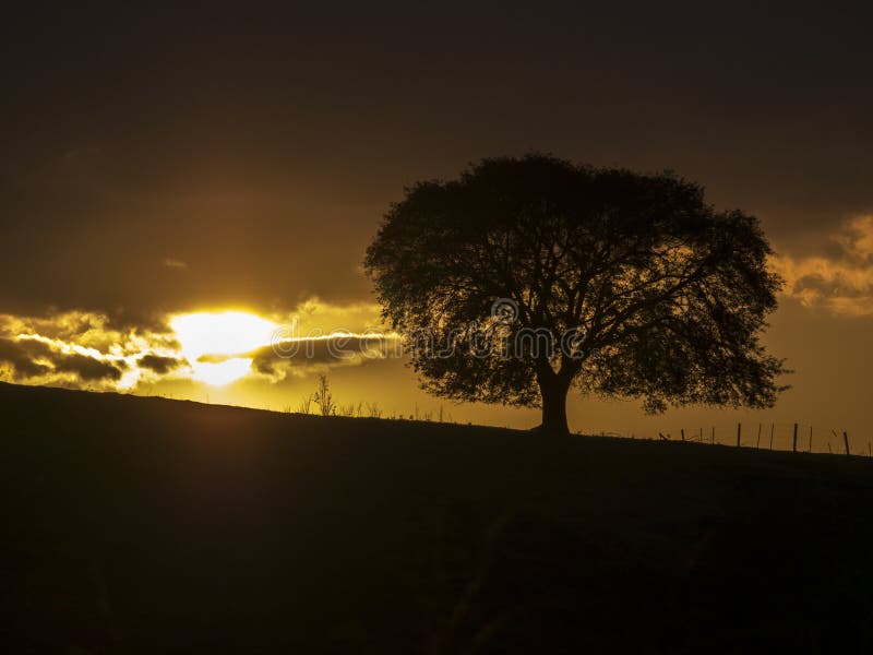 Sunset stock image. Image of shadow, sunset, profile - 78060131