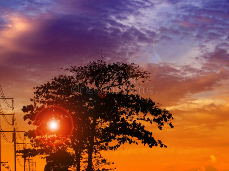 Sunset and Shadow Tree in Evening Dark Sky Stock Photo - Image of ...