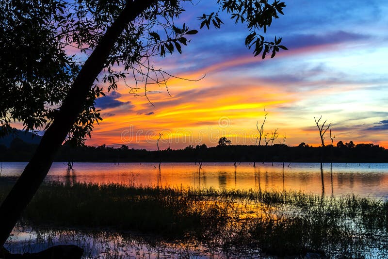 Sunset and shadow tree stock image. Image of beautiful - 94481881