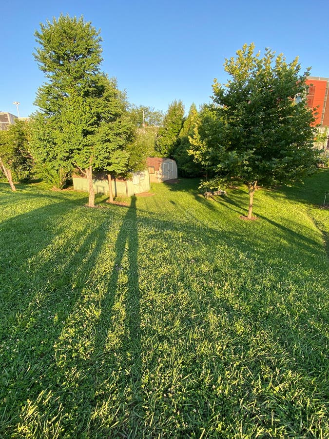 Sunset Shadows Cast from Beach Huts Towards Shore and Beautiful Sky ...