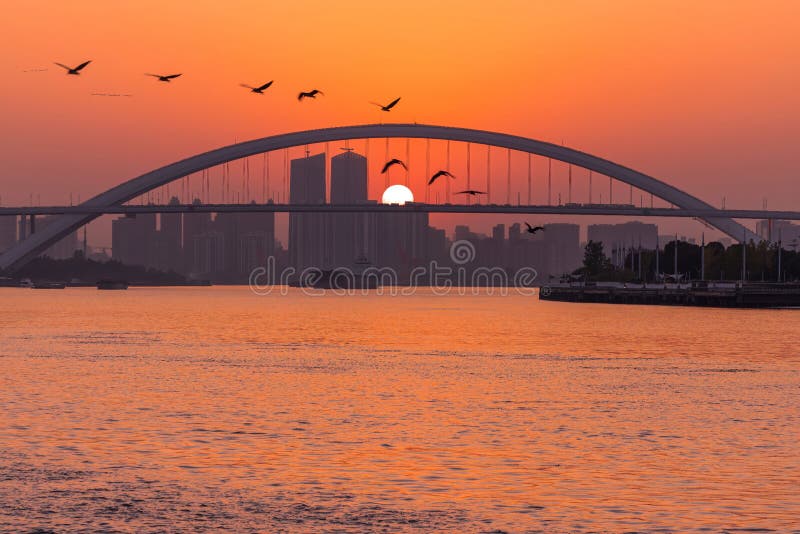 Sunset of Shanghai Lupu Bridge Stock Image - Image of lupu, river ...
