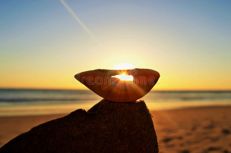 Sunset shell stock photo. Image of shell, landscape, sunset - 89713056