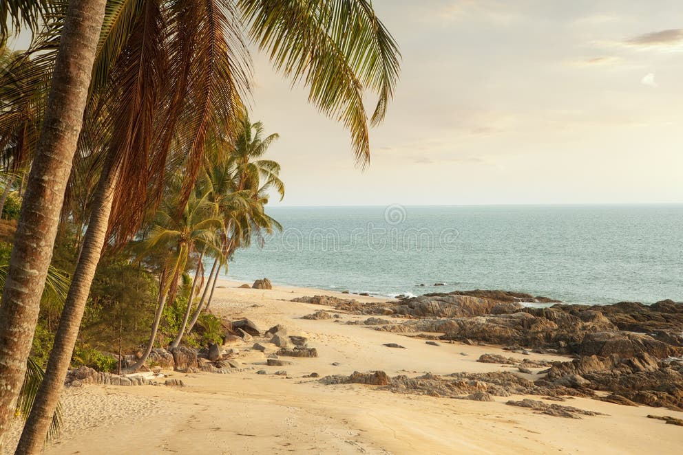Sunset shore stock photo. Image of journey, crepuscular - 72741104