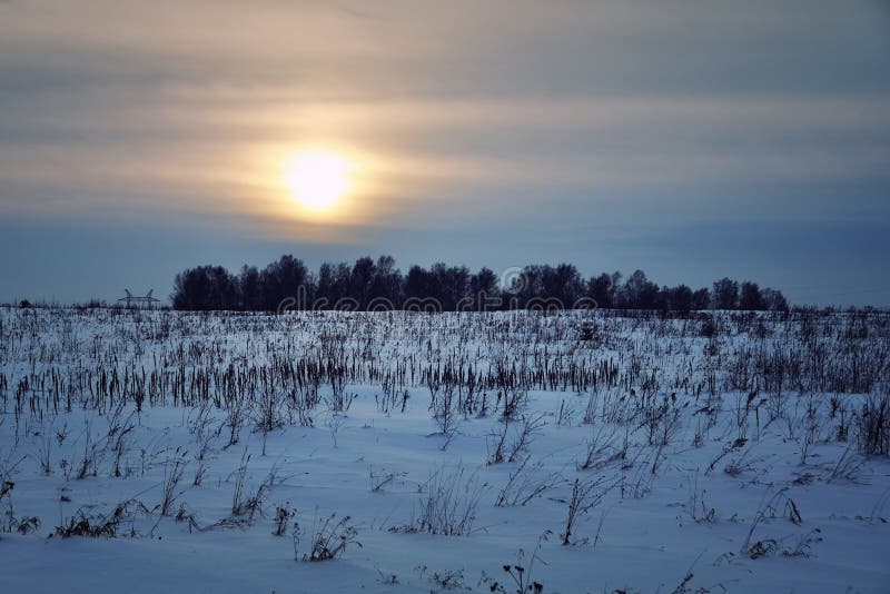 Sunset in Siberia in Winter Stock Photo - Image of russia, tree: 37693458