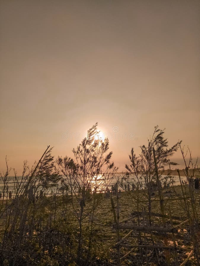 Sunset from side beach stock photo. Image of prairie - 209226344