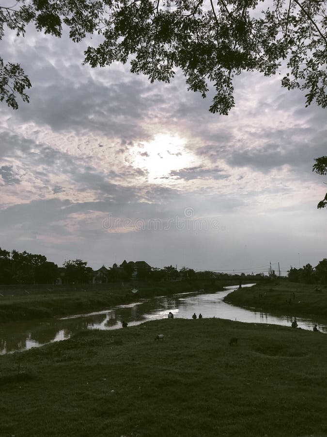 Sunset side river stock photo. Image of beautiful, grass - 211959252