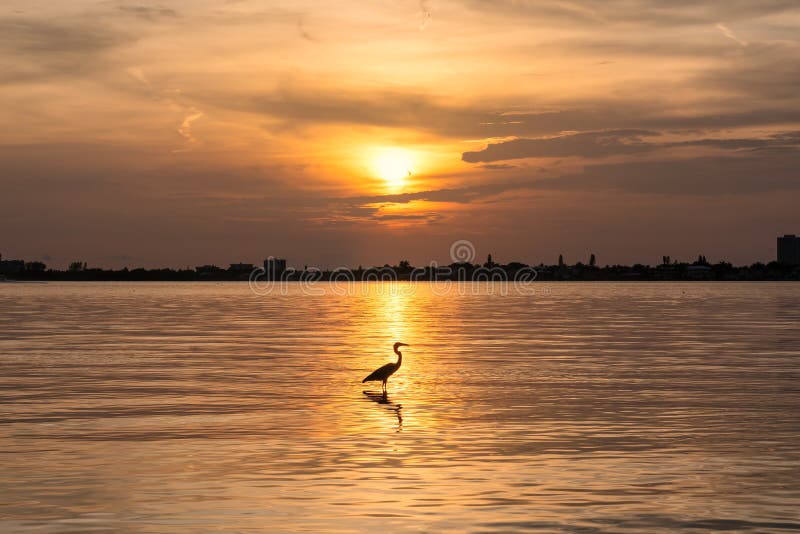 Sunset in Siesta Key beach stock photo. Image of cloud - 154764986