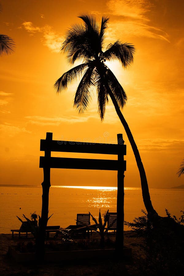 Sunset Silhouette stock photo. Image of coast, isolation - 236206