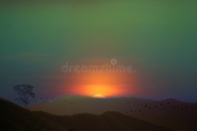 Sunset Silhouette Birds Flying Over Dry Trees in the Night Sky and ...