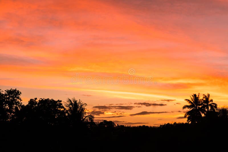 Sunset with Silhouette Forest Stock Image - Image of environment ...