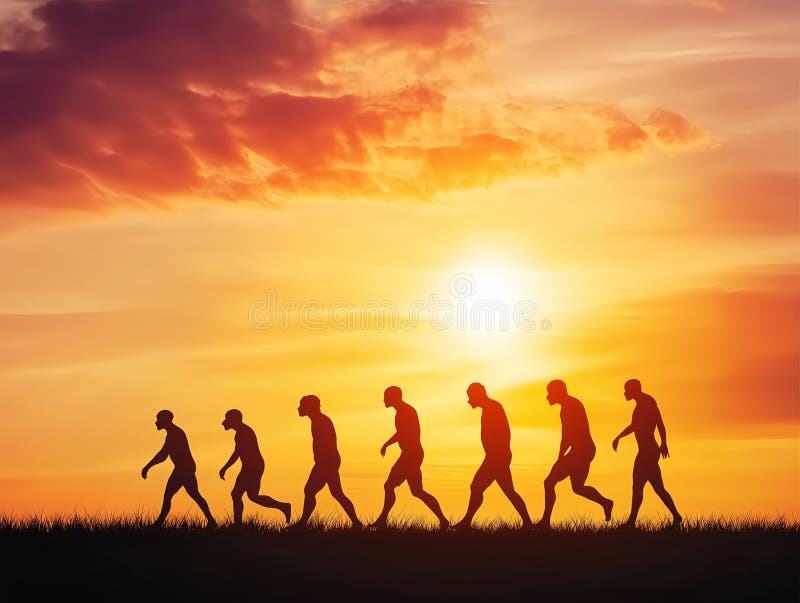 A Sunset Silhouette of Human Evolution Symbolizing the Journey of ...
