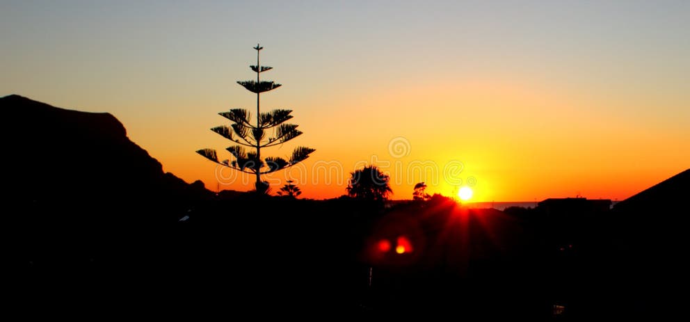 Sunset with Silhouette of Promontory in the Background and Trees in the ...