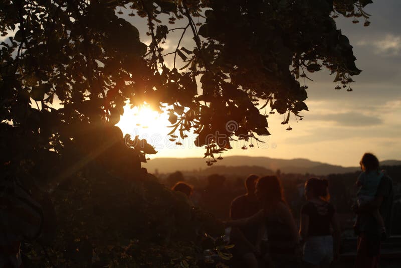 Sunset through a Silhouette of a Tree with People Enjoying it. Stock ...