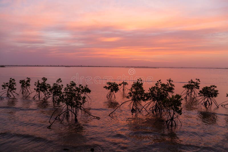 Sunset on the Delta Senegal Stock Photo - Image of nature, scenic ...