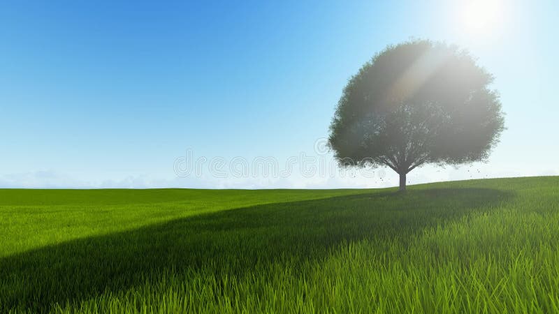 Sunset Single Tree with Wind Animation Stock Video - Video of beautiful ...