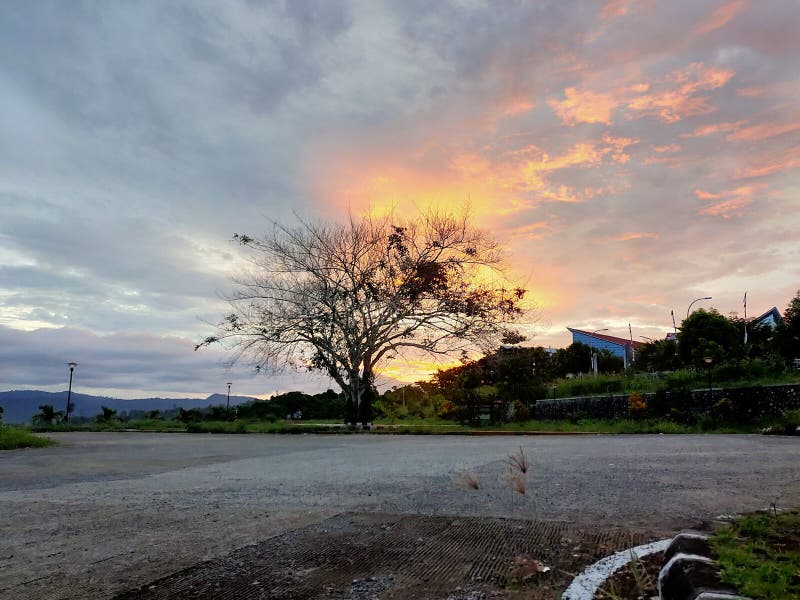 Sunset skies stock photo. Image of evening, beautiful - 239412060