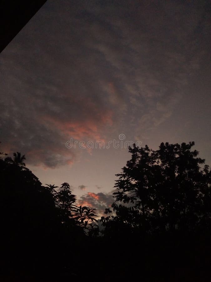 1,048 Beautiful Dark Tree Wallpapers Stock Photos - Free & Royalty-Free ...