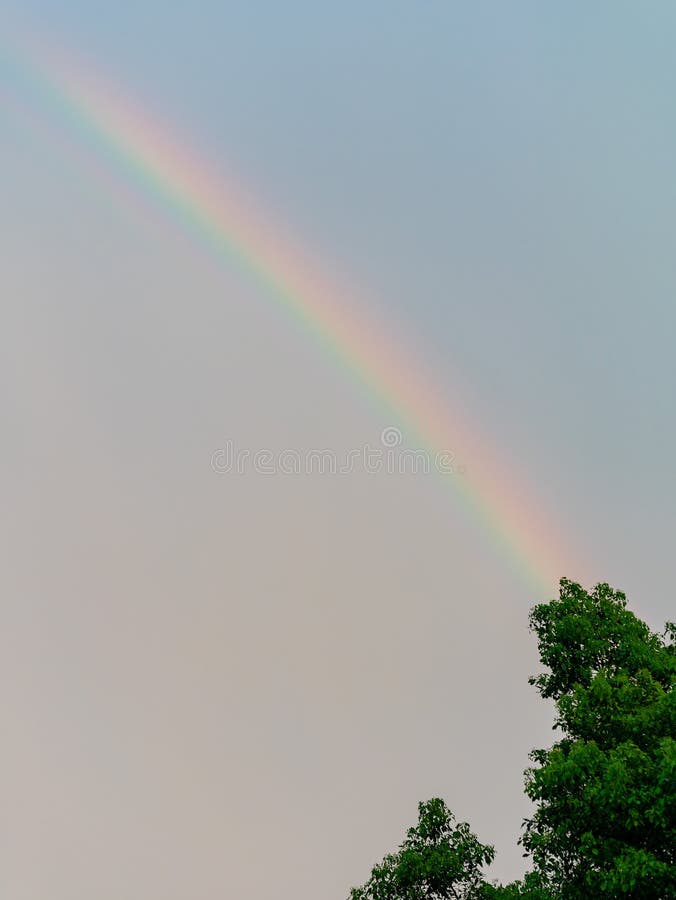 Sunset Sky with Beautiful Rainbow and Tree Stock Photo - Image of ...
